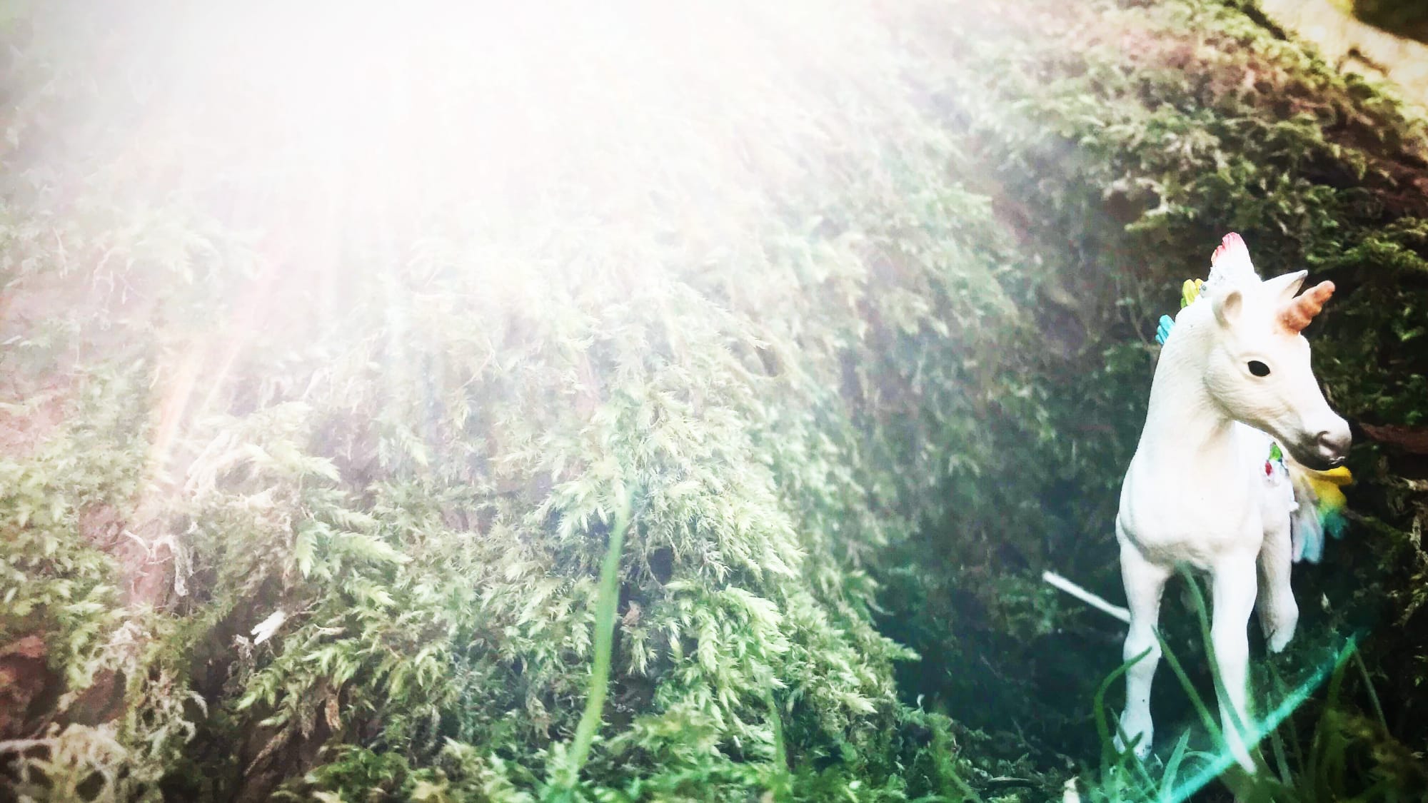 How to find Unicorns