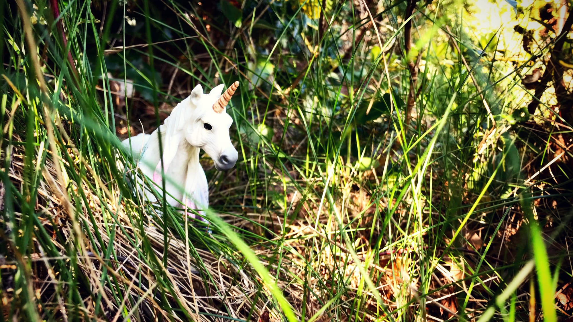 How to Celebrate National Unicorn Day How to Celebrate National Unicorn Day